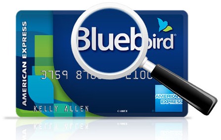 Amex Bluebird Logo